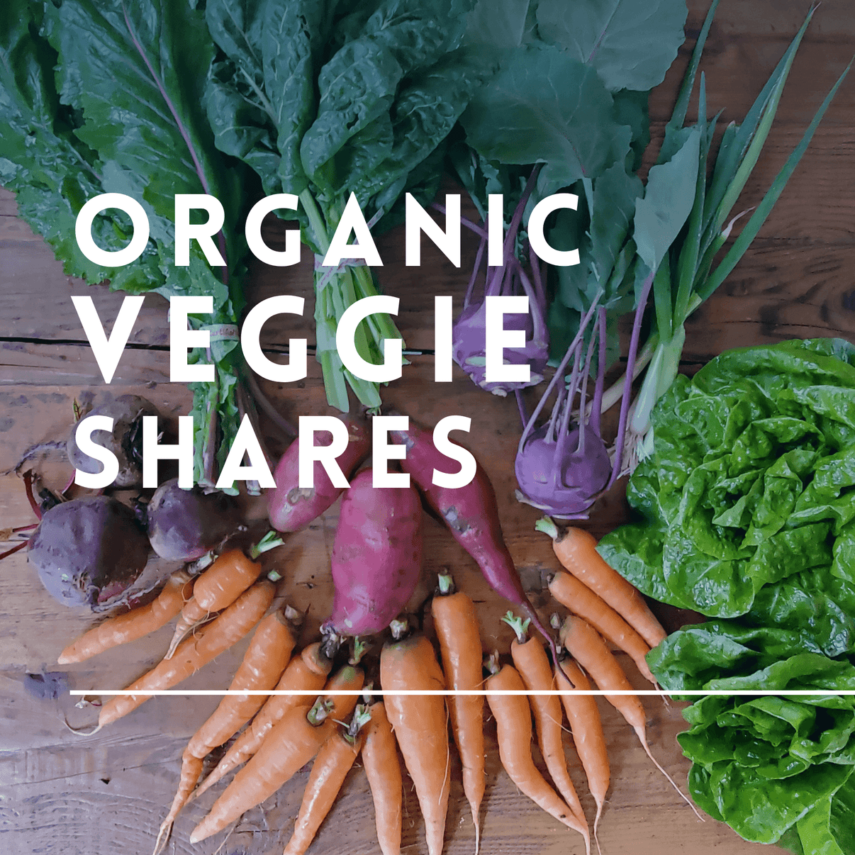 Organic Veggie CSA Farm Share | Caney Fork Farms Middle Tennessee