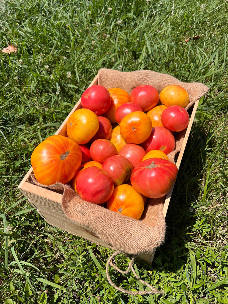 Local Organic Farm in Tennessee | Caney Fork Farms