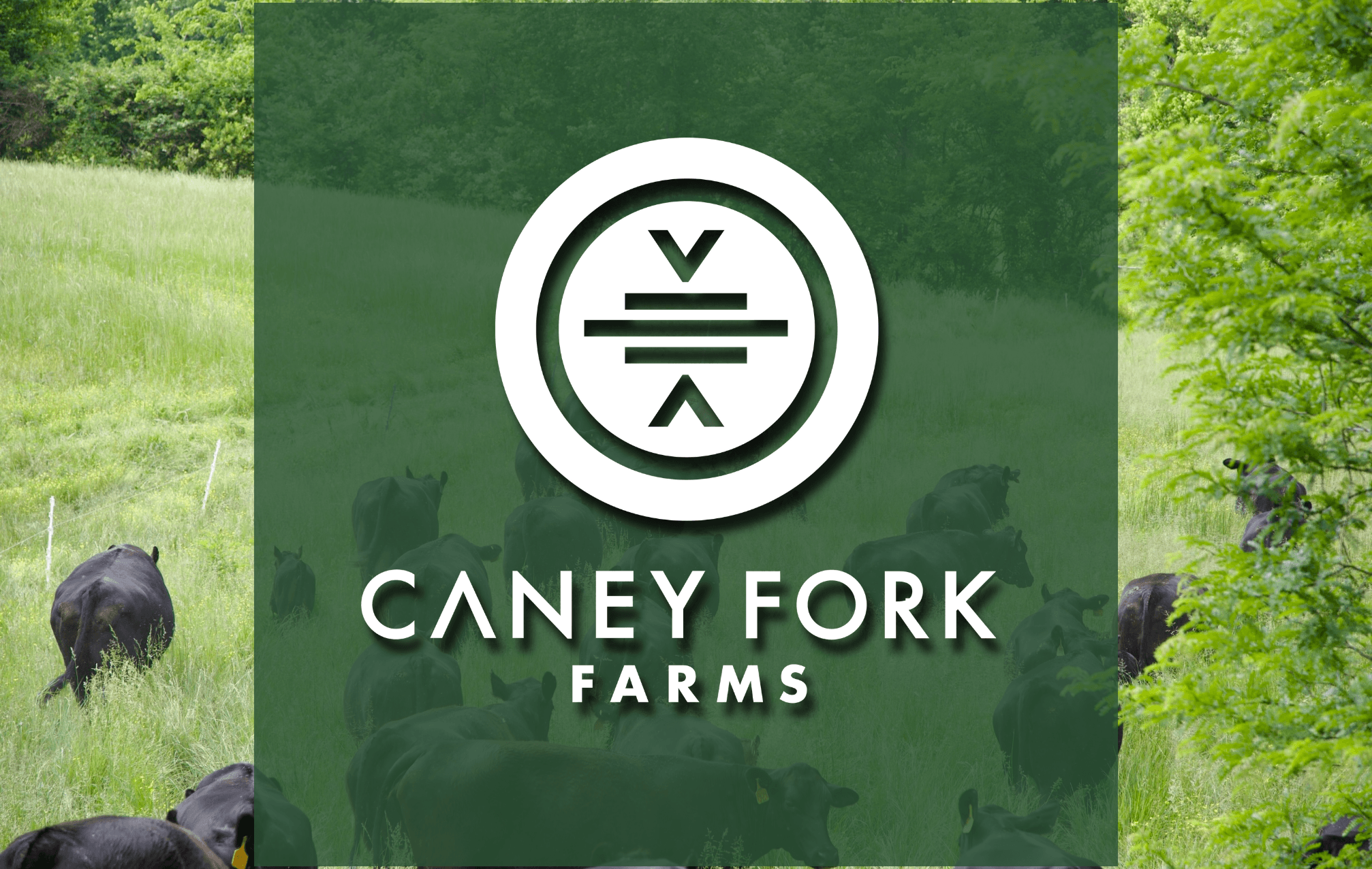 Local Organic Farm in Tennessee | Caney Fork Farms